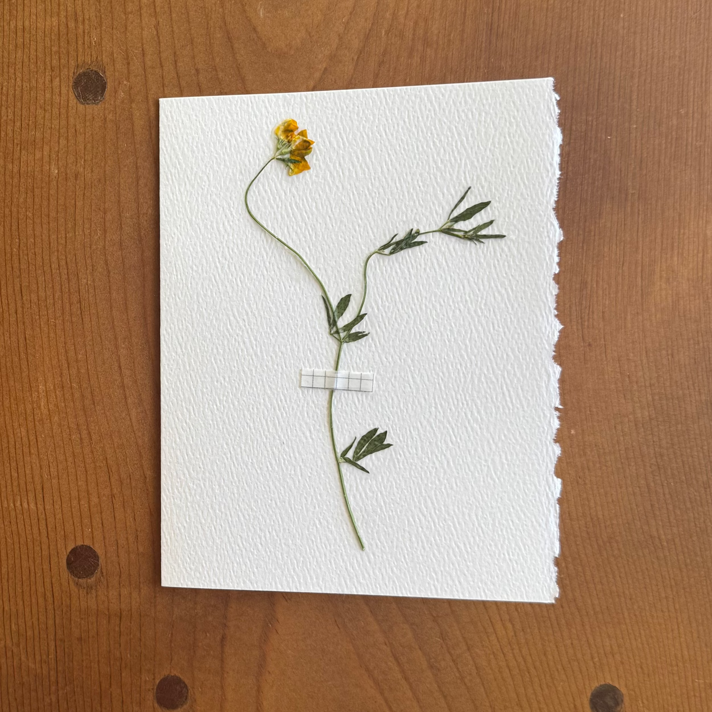 The Resilience Card – By Hand Greetings